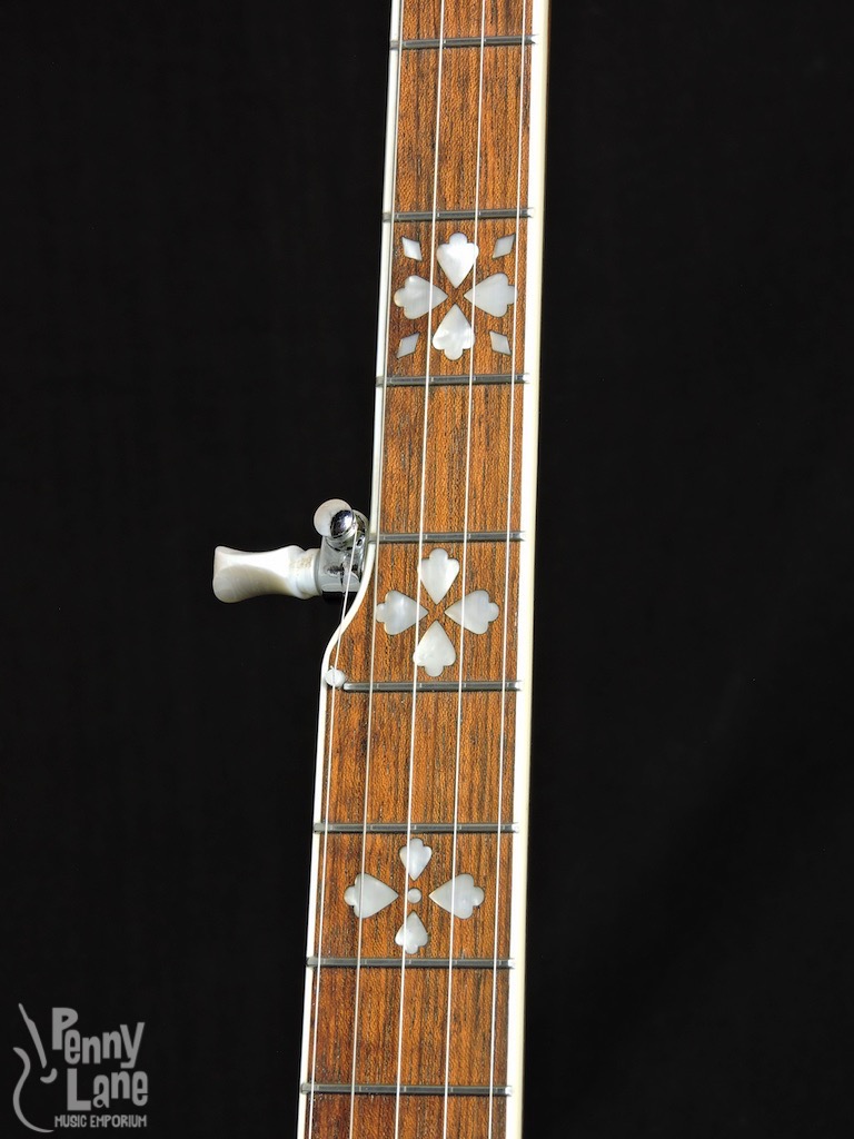 GOLD TONE BG-150F BLUEGRASS 5-STRING RESONATOR BANJO WITH GIG BAG ...