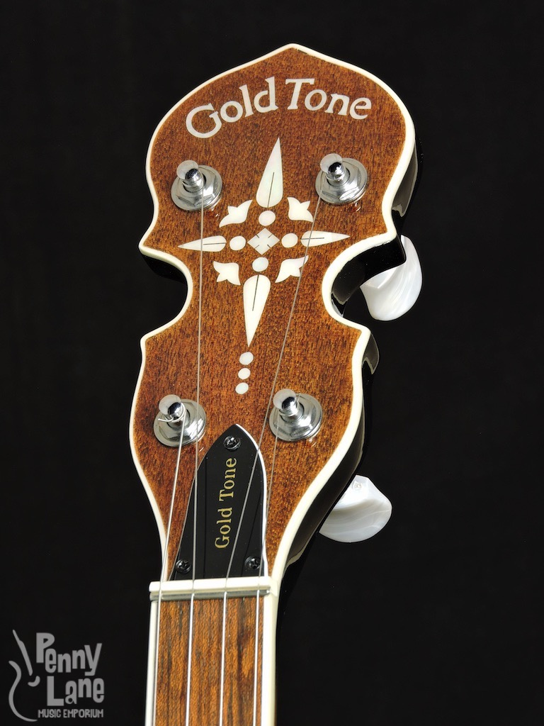 GOLD TONE BG-150F BLUEGRASS 5-STRING RESONATOR BANJO WITH GIG BAG ...