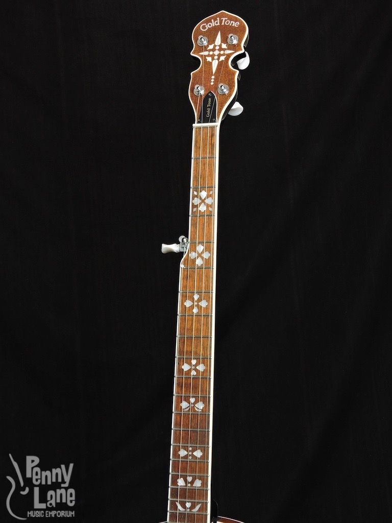 GOLD TONE BG-150F BLUEGRASS 5-STRING RESONATOR BANJO WITH GIG BAG ...