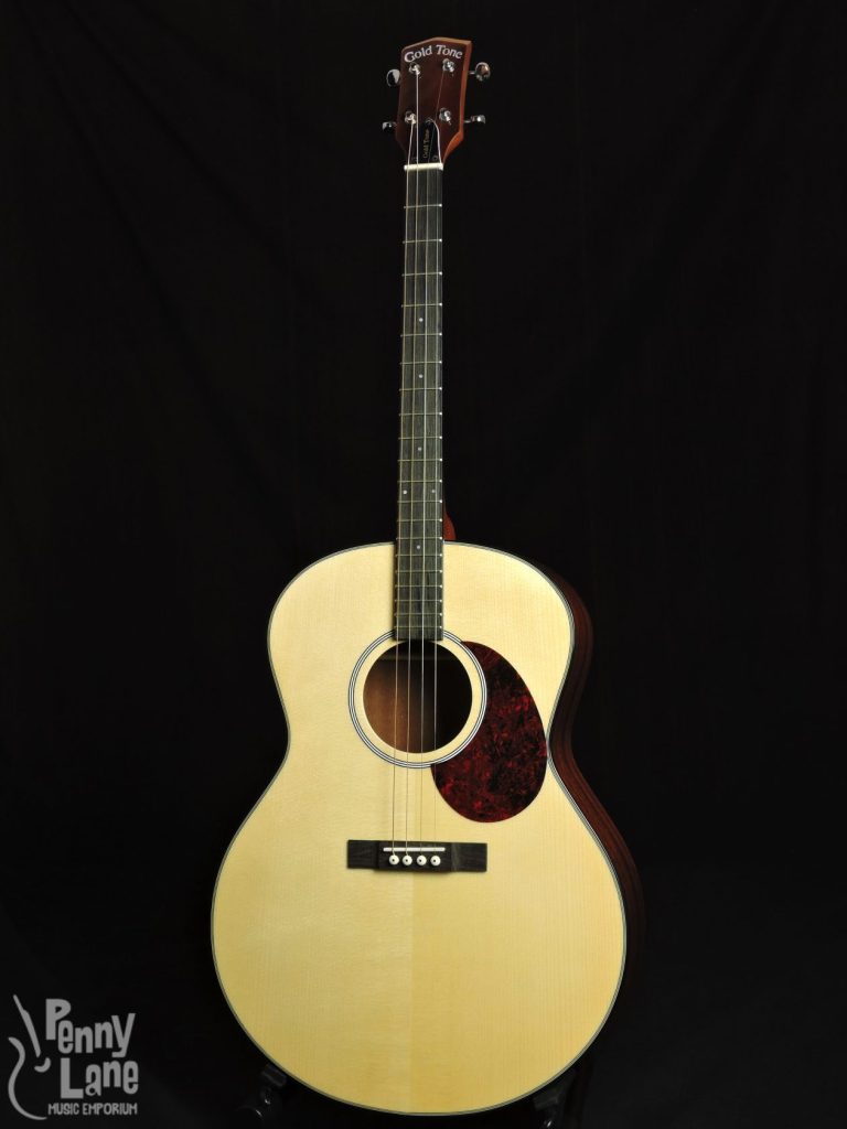 GOLD TONE TG-10 ACOUSTIC TENOR GUITAR WITH GIG BAG | Penny Lane Emporium