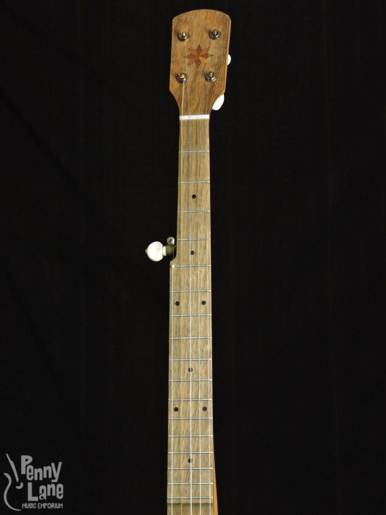 PISGAH APPALACHIAN 5-STRING OPEN BACK BANJO WITH GIG BAG | Penny Lane ...
